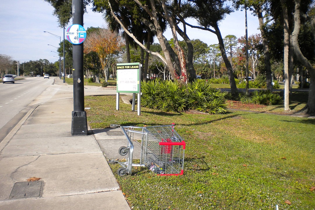 Only stores with 20 carts or more to be held responsible for stray ...