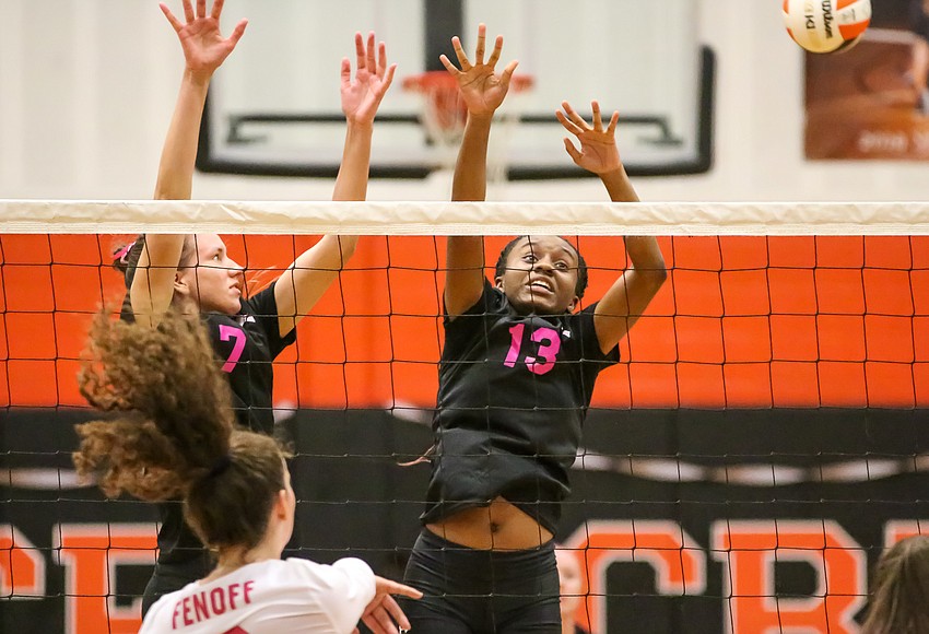 Business Observer | Photo - The Hawks' Kate Roth (No. 7) and Renee ...