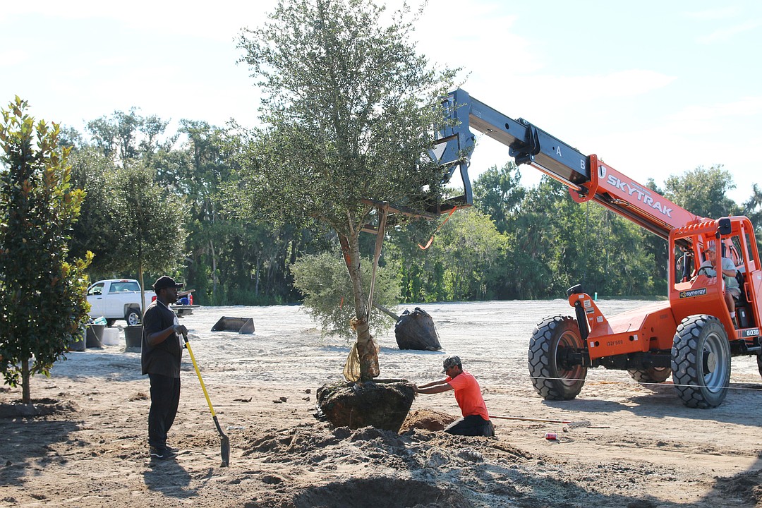 Ormond Beach's Granada Pointe development gets first hints of green ...