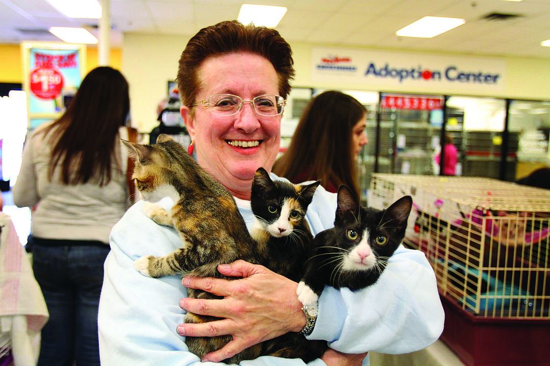 Feline fancy | Your Observer