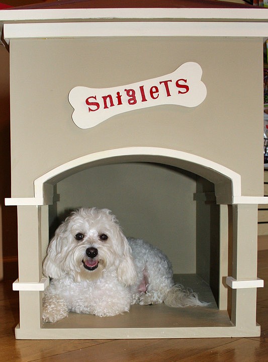 Sniglet finds home within home | Your Observer