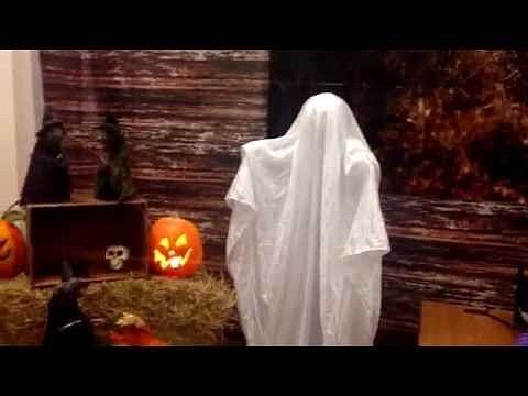 Meet Spyro, the pet Nigerian dwarf goat of the McCabe family | Observer ...