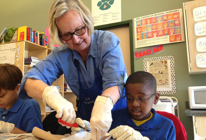 Hands-on: Bunnell Elementary fifth-graders dissect squids | Observer ...