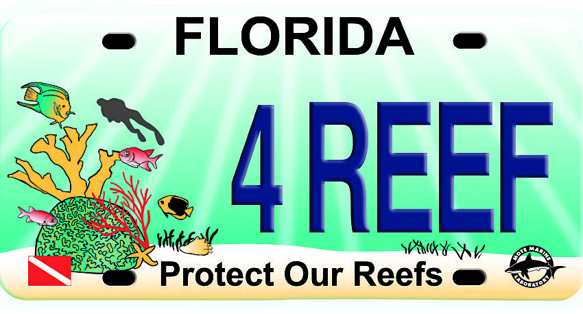 Protect Our Reefs license plates raise $274,000 | Your Observer