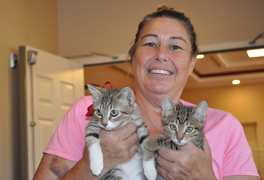 SAFFARI will not apply for exception to house animals | Observer Local ...