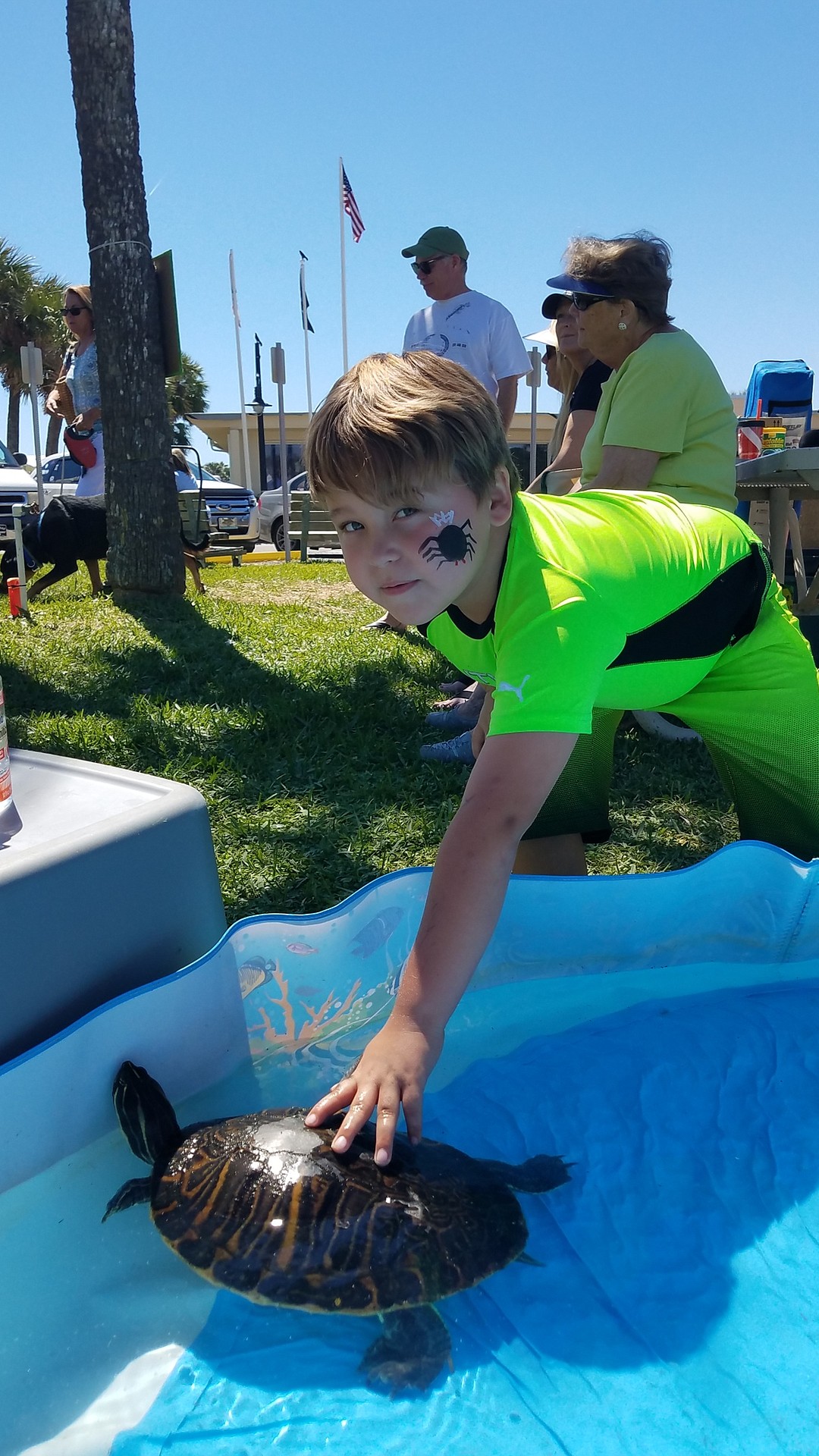 Flagler Beach Turtle Fest brings out turtle and tortoise enthusiasts of ...