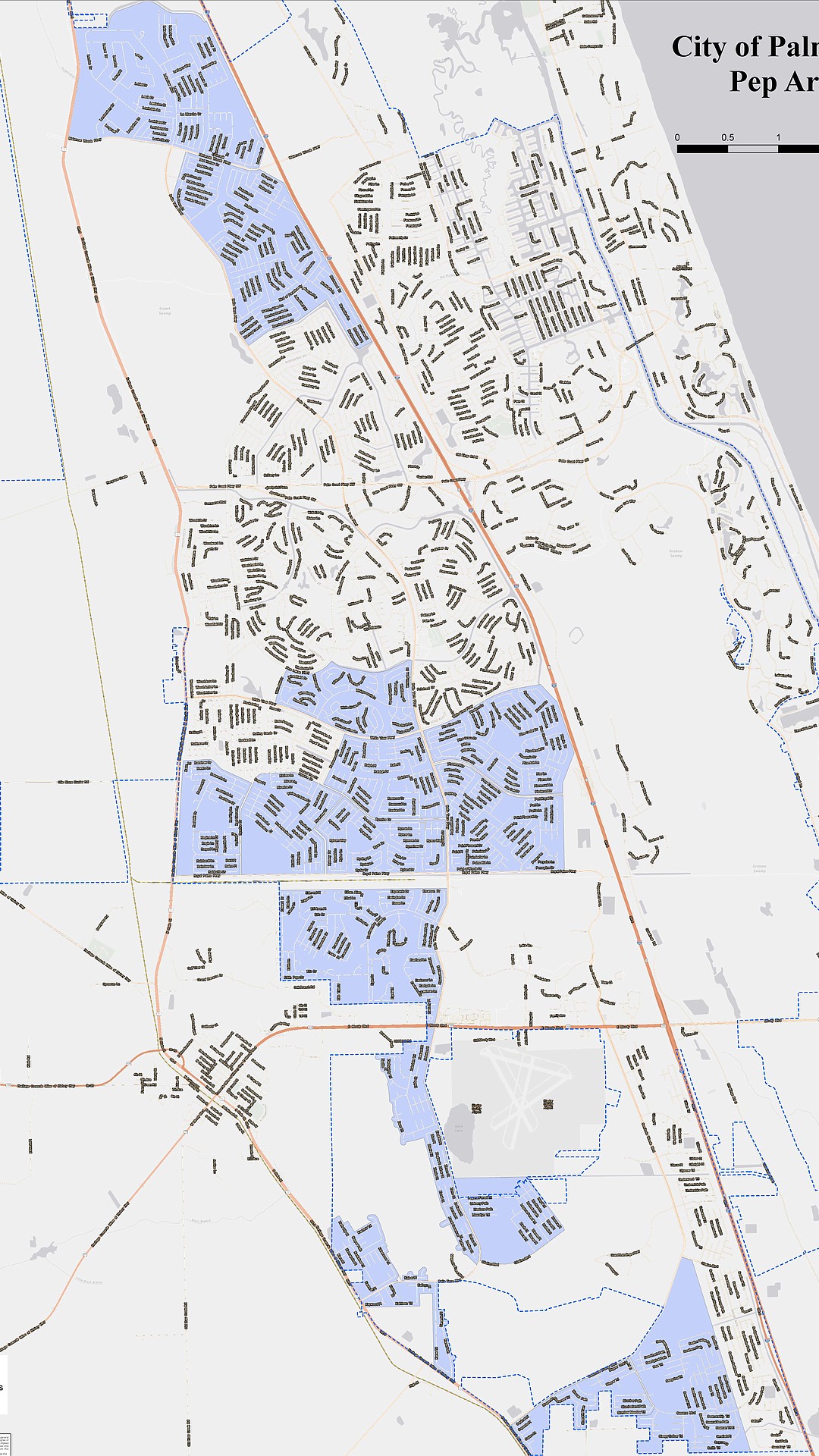 Palm Coast storm damage minimal; city drains overflowing PEP tanks ...