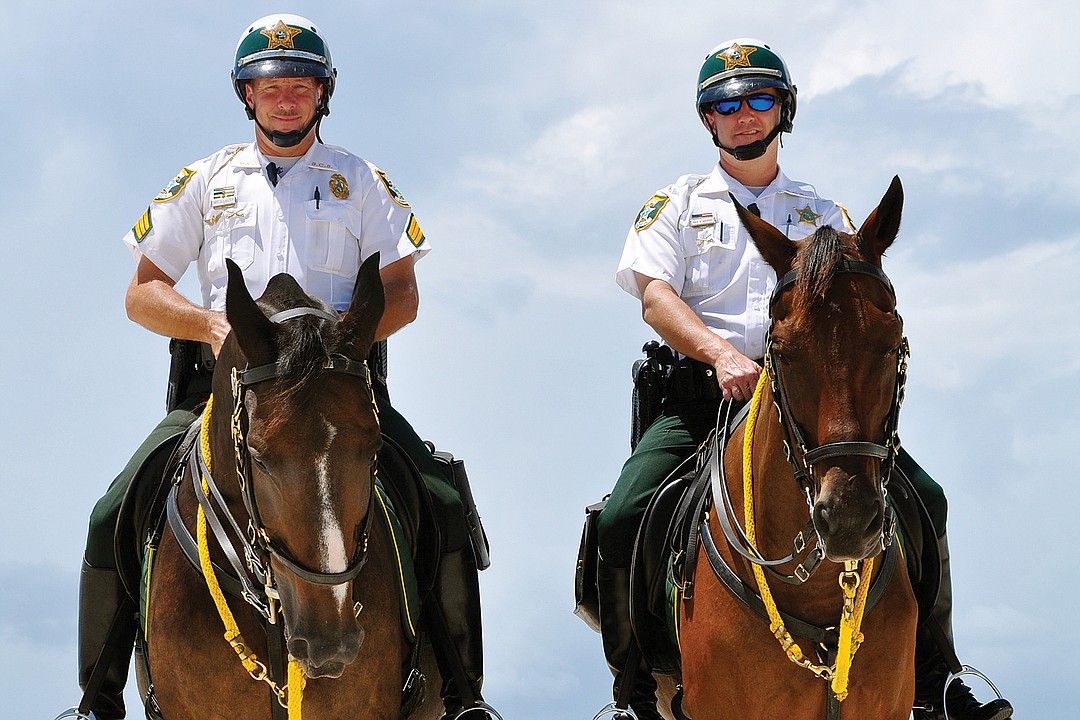 Video: Horses bridge public and law enforcement | Your Observer