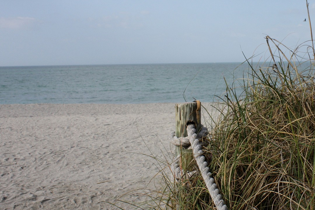 Beach water advisory issued for Turtle Beach | Your Observer