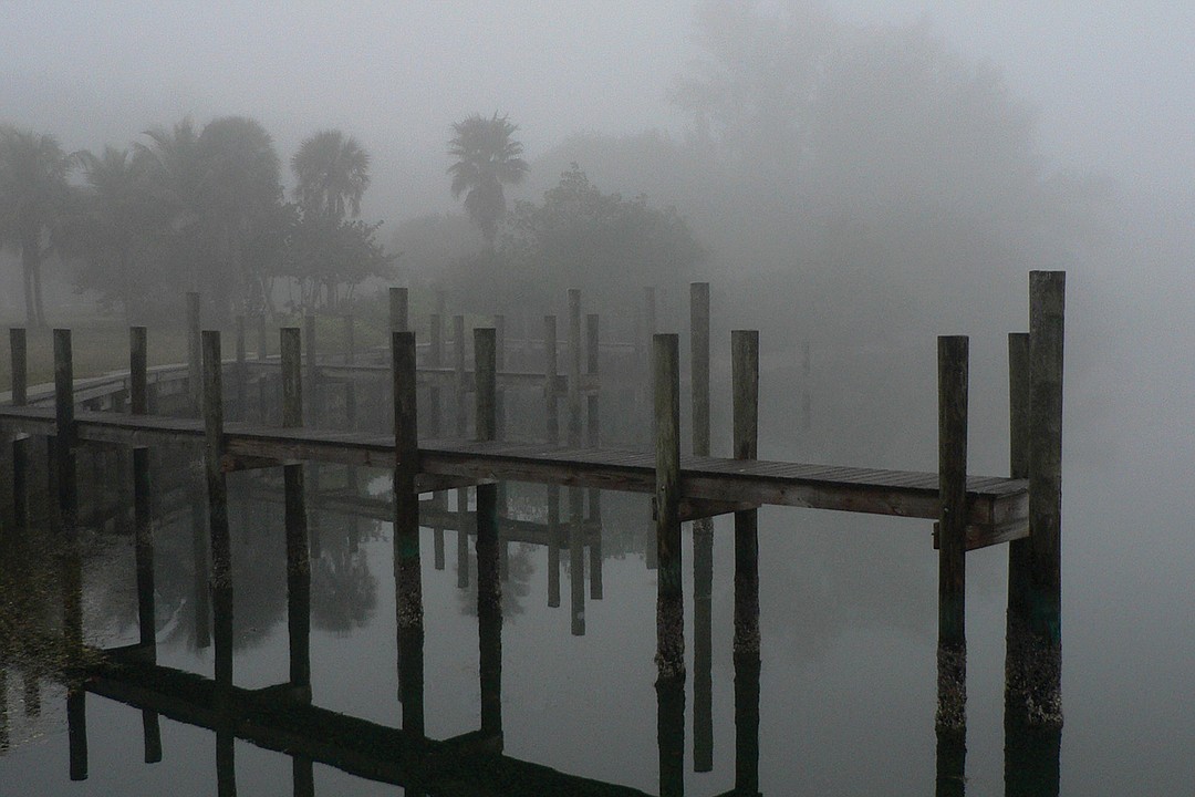 Weekly Winner: Spooky Start | Your Observer