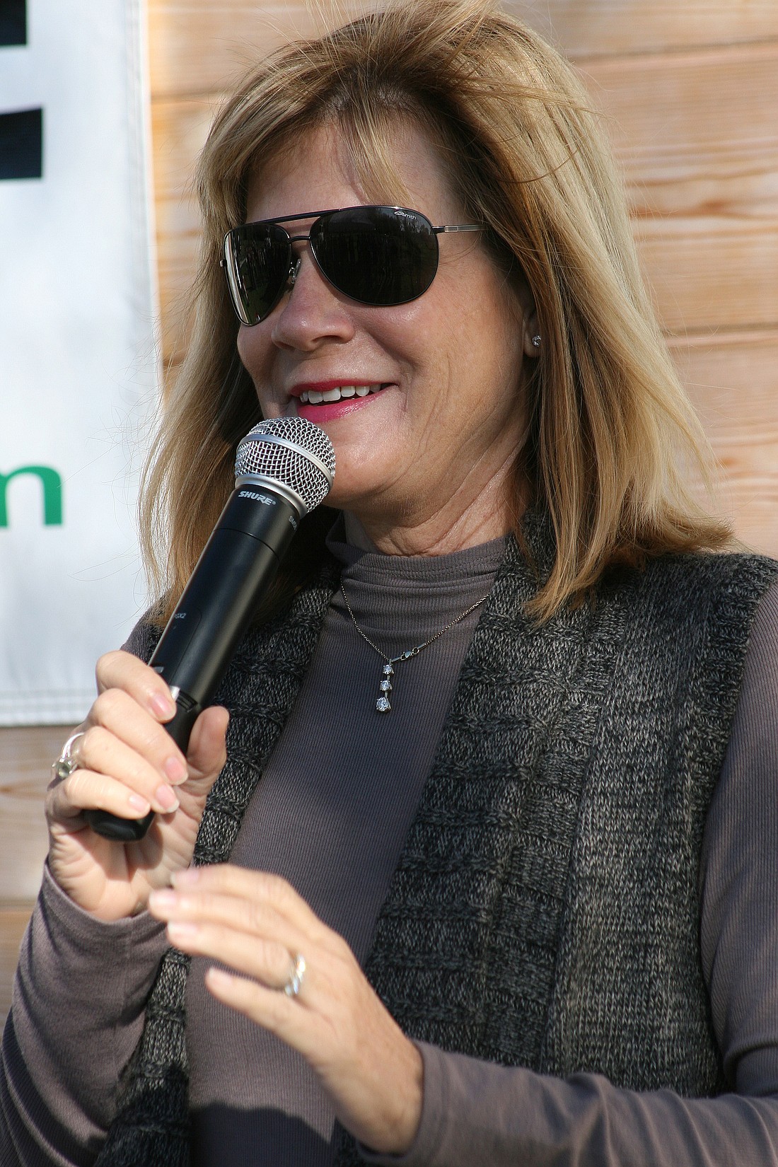 Your Observer | Photo - Commission Chairwoman Carol Whitmore spoke at ...