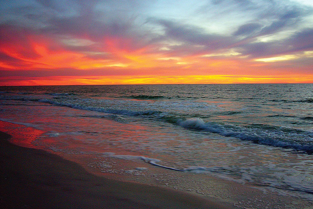 Weekly Winner: Color Scheme | Your Observer