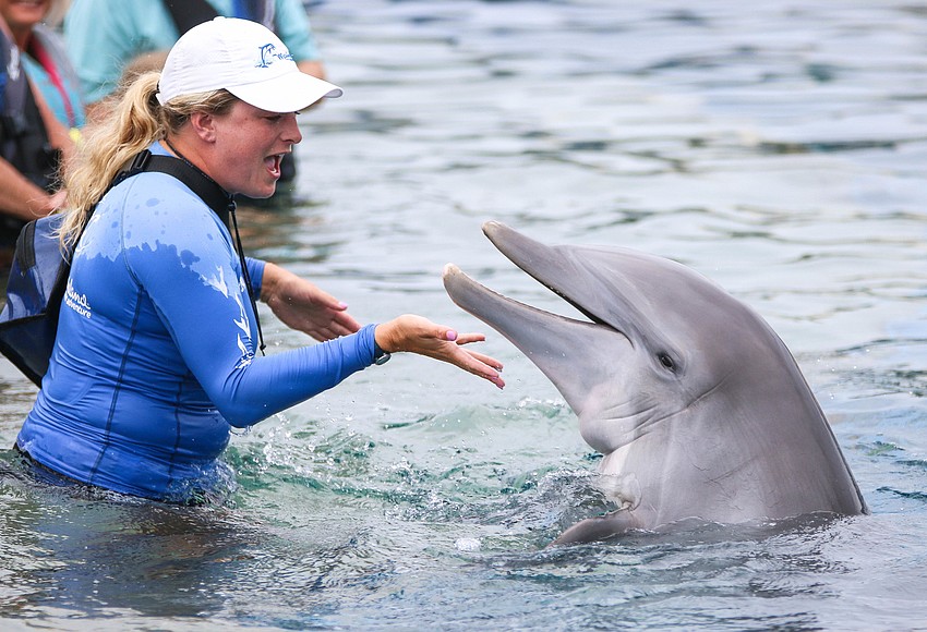 Marineland Dolphin Adventure welcomes new management