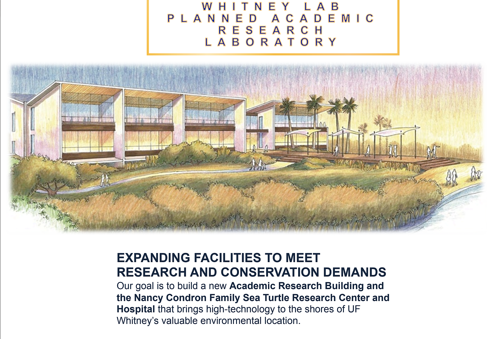 Whitney Lab, Sea Turtle Hospital plan for expansion | Observer Local News