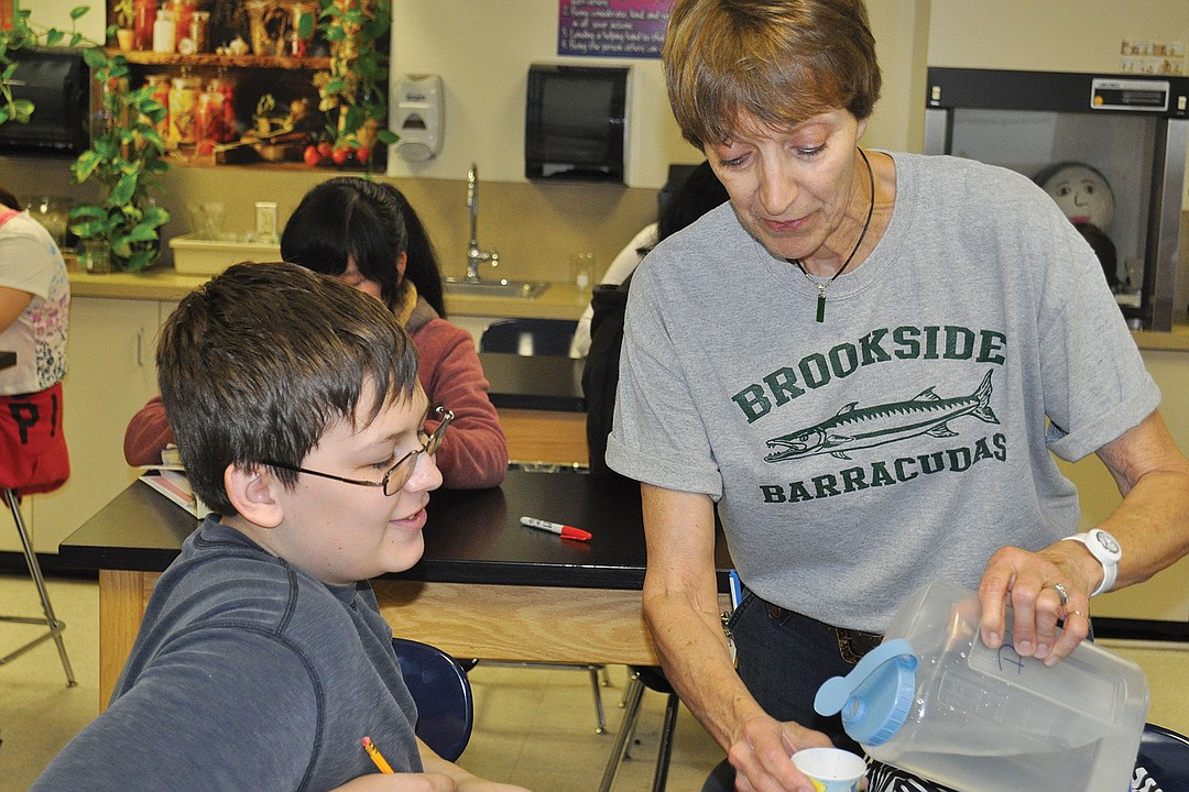 Brookside teacher makes learning fun | Your Observer