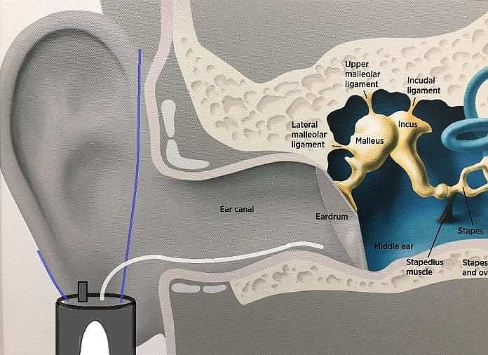 WHAT IS REM, AND WHY IS IT IMPORTANT? | Observer Local News | Palm ...
