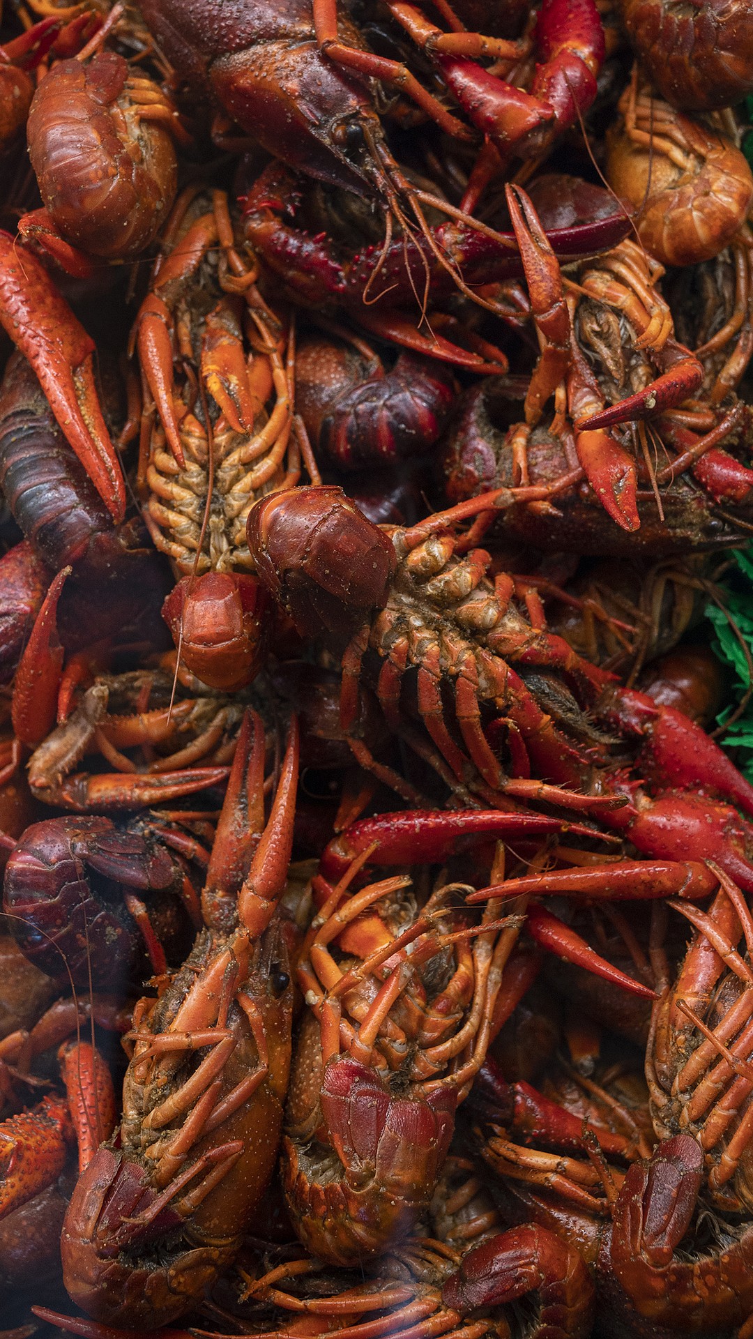 Hull's Seafood Market: 40 years of family-owned freshness | Observer ...