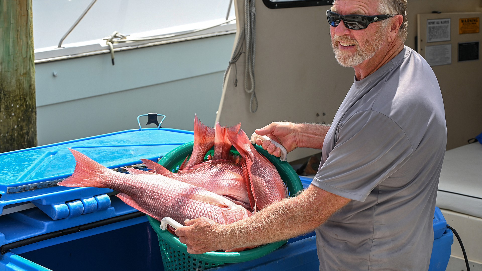 Hull's Seafood Market: 40 years of family-owned freshness | Observer ...
