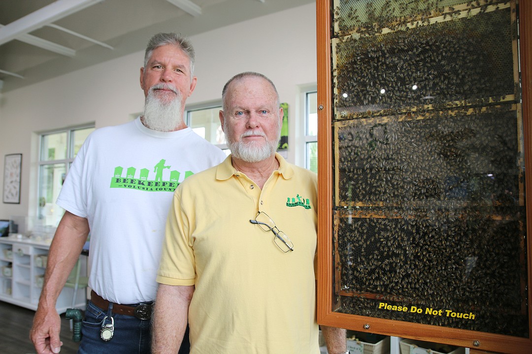 Bee stewards: Environmental Discovery Center's beekeepers strive for ...