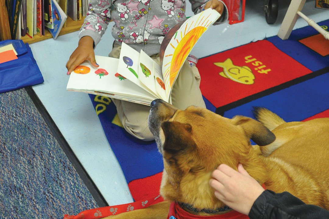 Students read to therapy dog | Your Observer