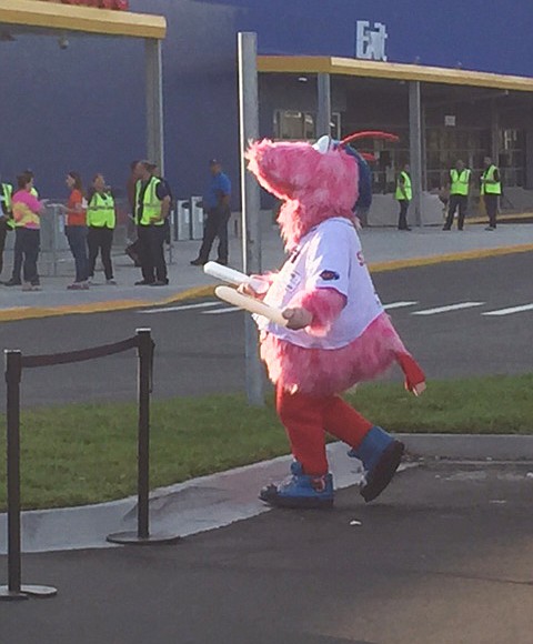 Jax Daily Record| Photo - The Jumbo Shrimp mascot helps entertain the ...