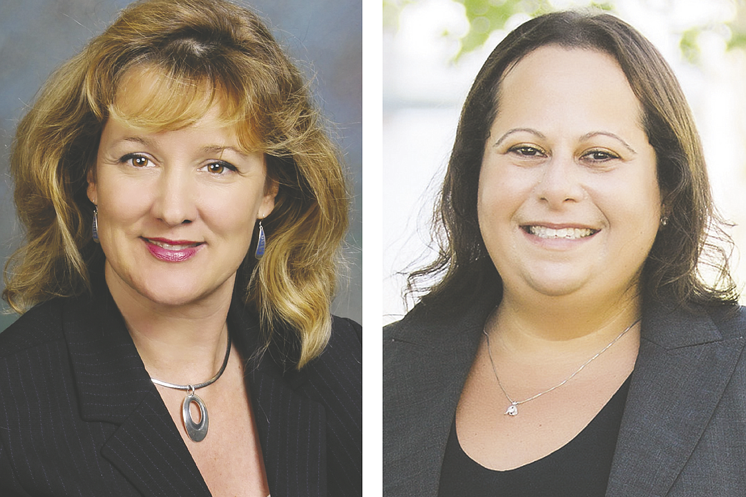 Pro Bono: Attorneys work together to stabilize a family | Jax Daily Record