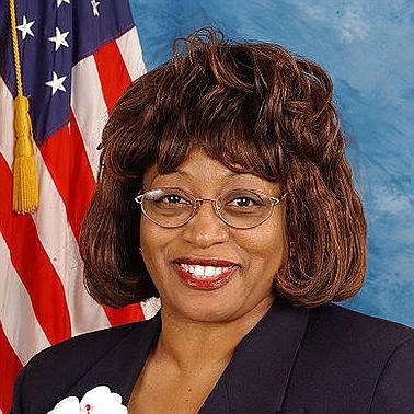 Groups ask federal court to sanction U.S. Rep. Corrine Brown and her ...