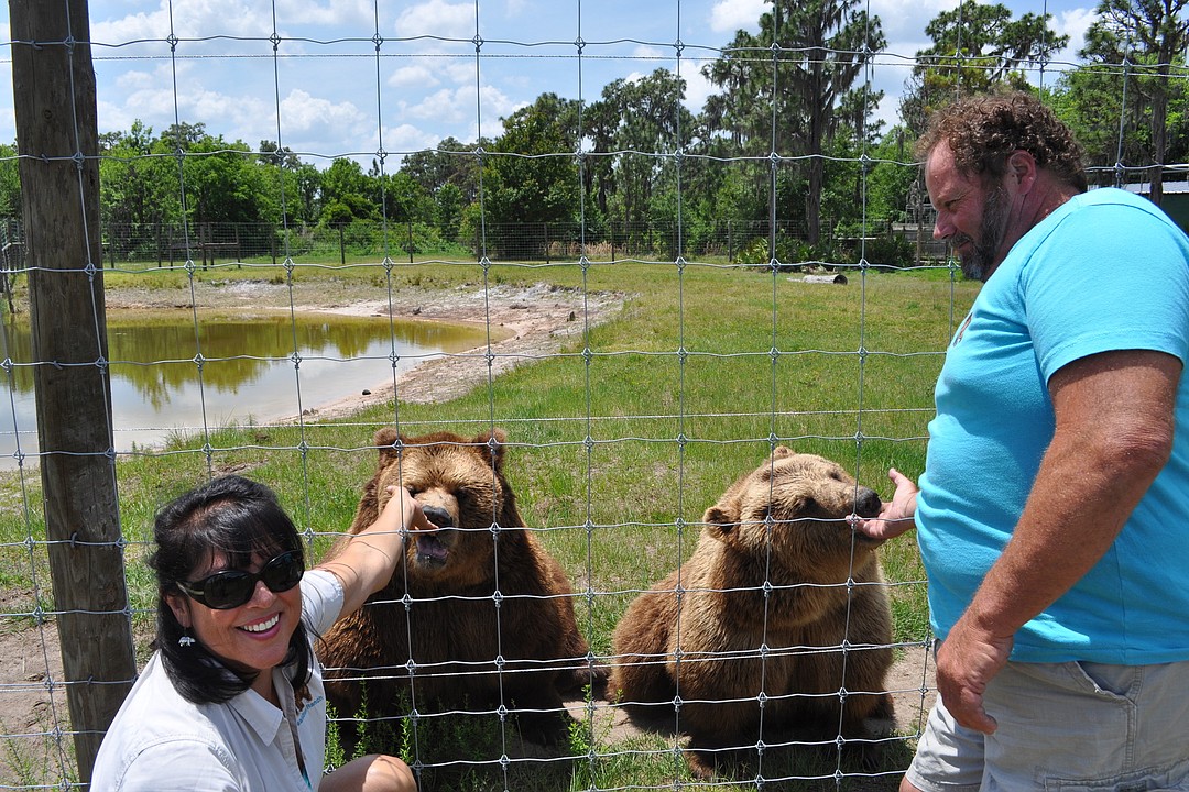 Bearadise Ranch preserves bears' history | Your Observer