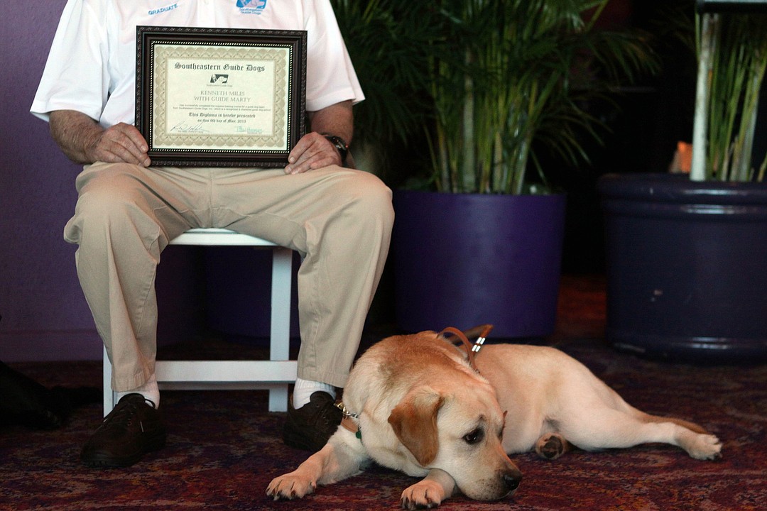 PHOTO GALLERY: Southeastern Guide Dogs graduation ceremony | Your Observer