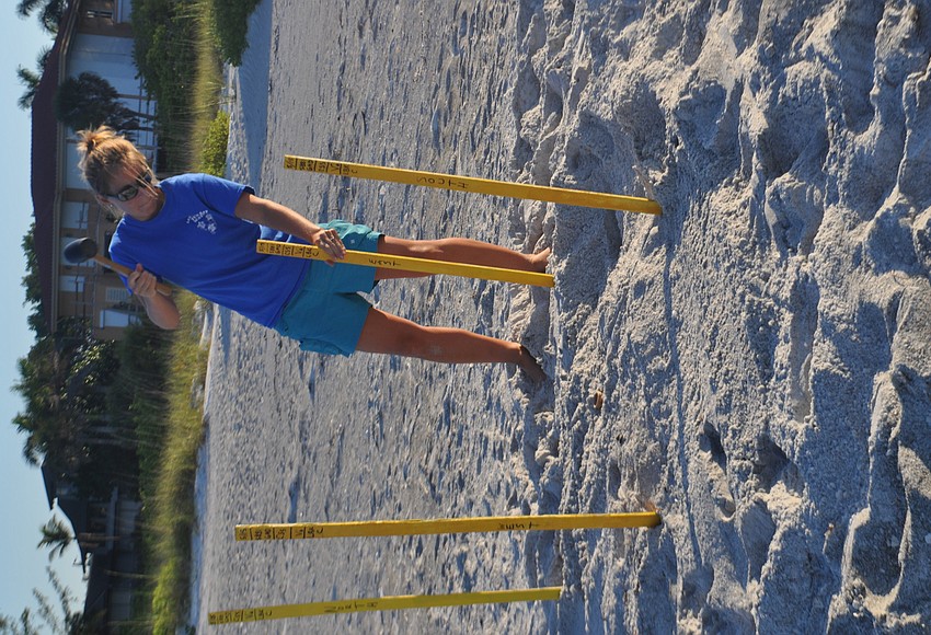 Tracking turtle watchers | Your Observer