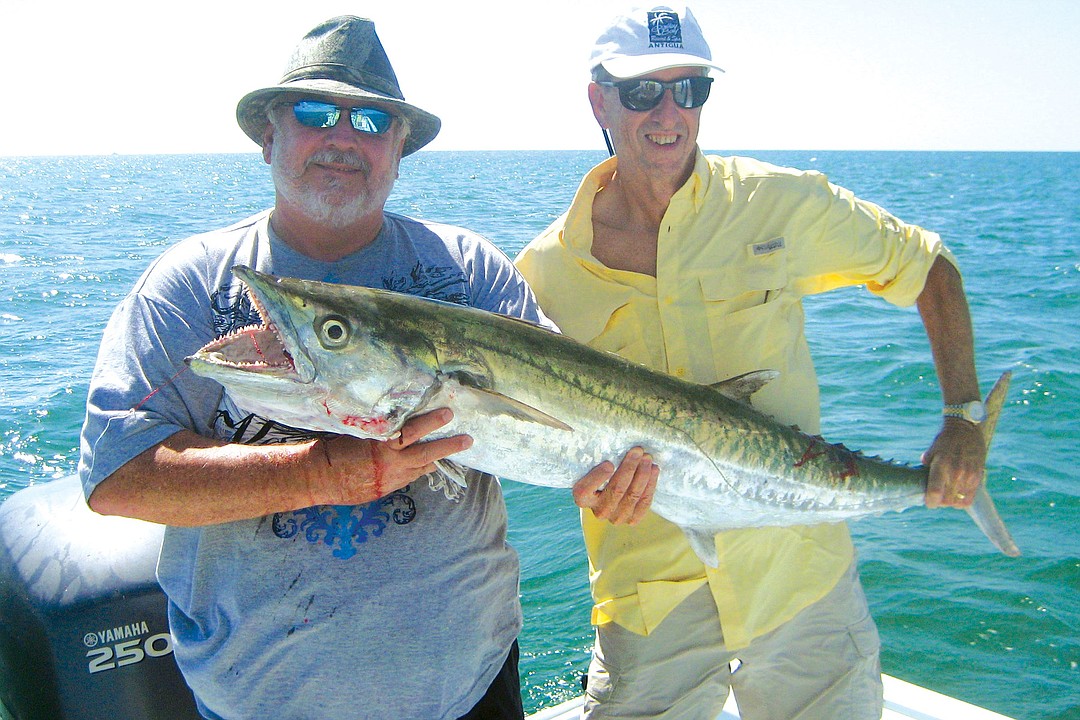 Summer activities on Longboat Key | Your Observer