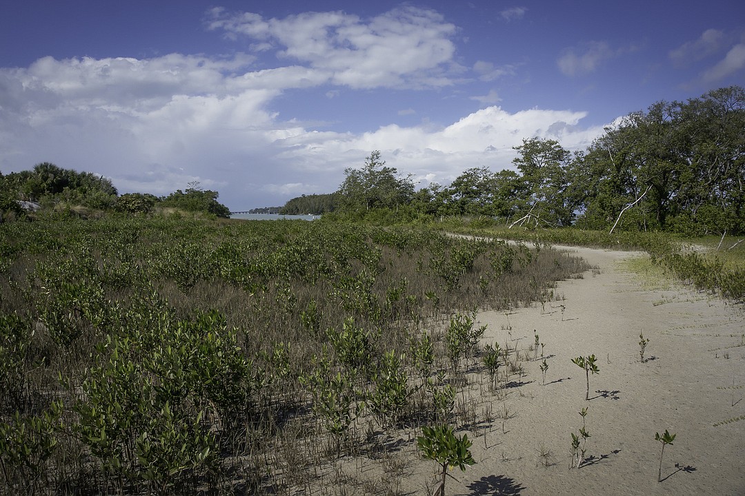 Audio tour spotlights protected Sister Keys | Your Observer
