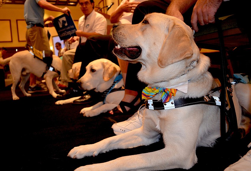 Southeastern Guide Dogs celebrates graduates