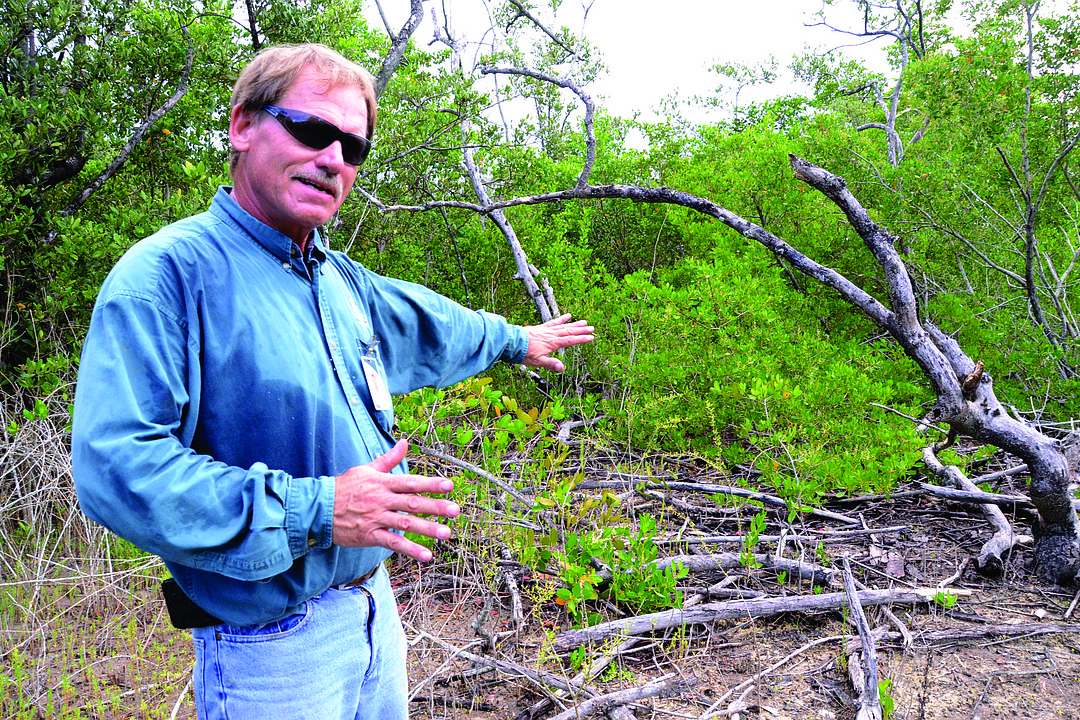 VIDEO: Palmer Point Park: 2 acres away from full restoration | Your ...