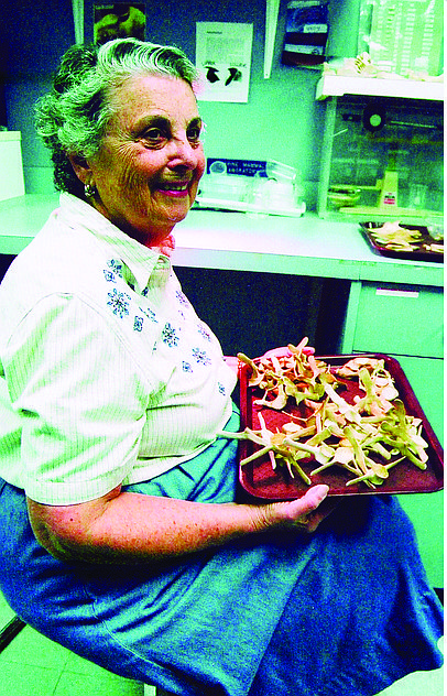 Ruth DeLynn was backbone of Mote collection | Your Observer