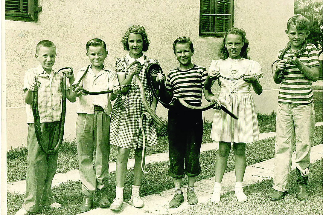 Shedding light on the Sarasota Snake Club | Your Observer