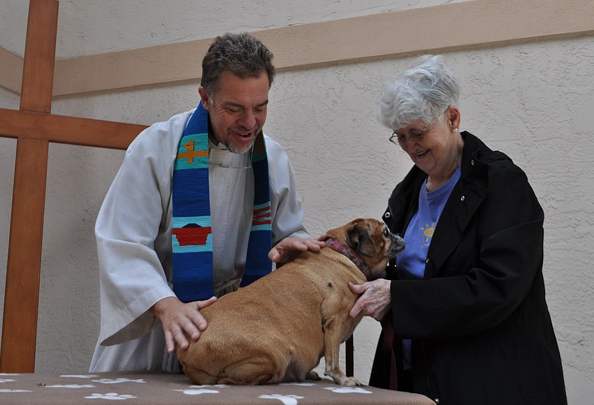 Churches to bless furry friends | Your Observer