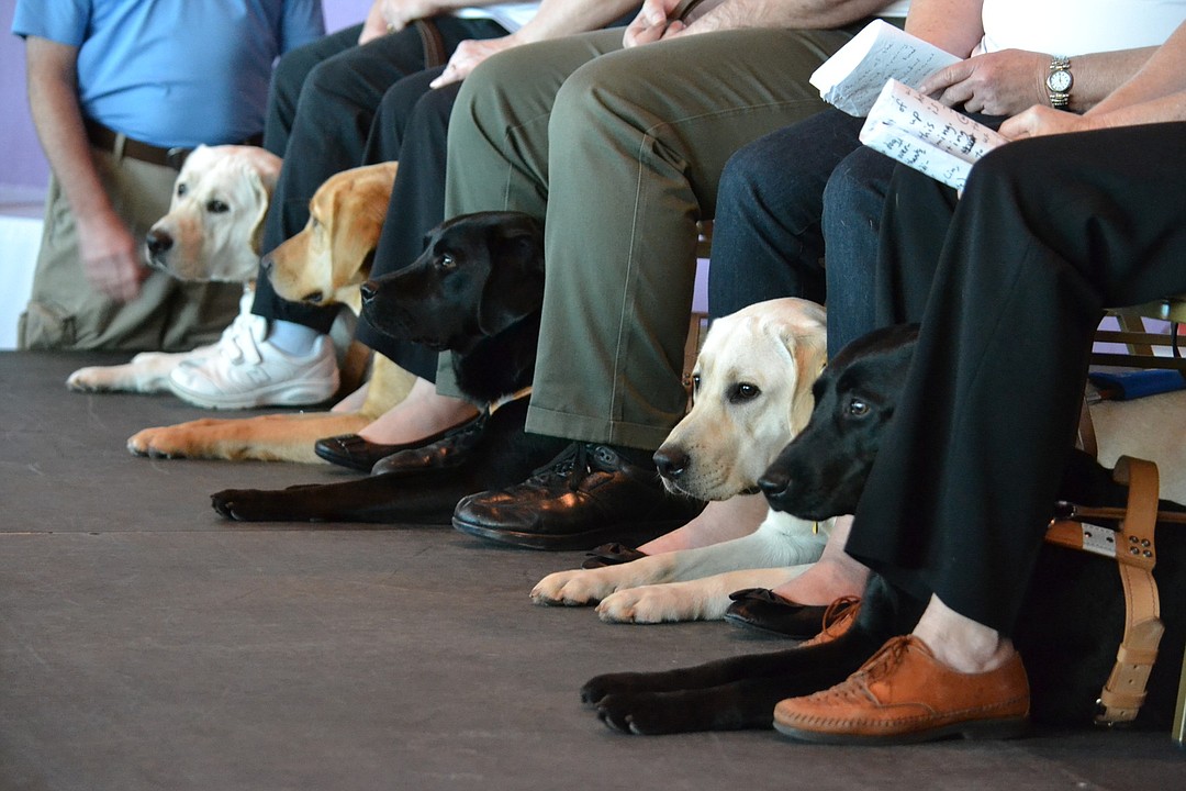 PHOTO GALLERY: Southeastern Guide Dogs graduation | Your Observer