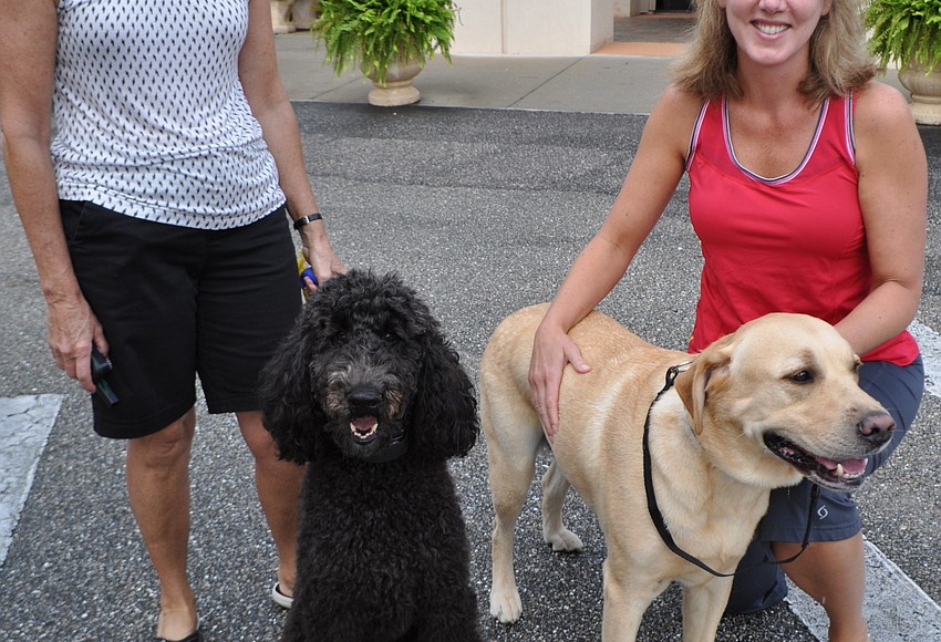 Your Observer | Photo - Fran Jack, with Lexi, and Lora Rees, with ...