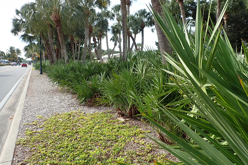 Siesta Key parking plan hits funding hurdle | Your Observer