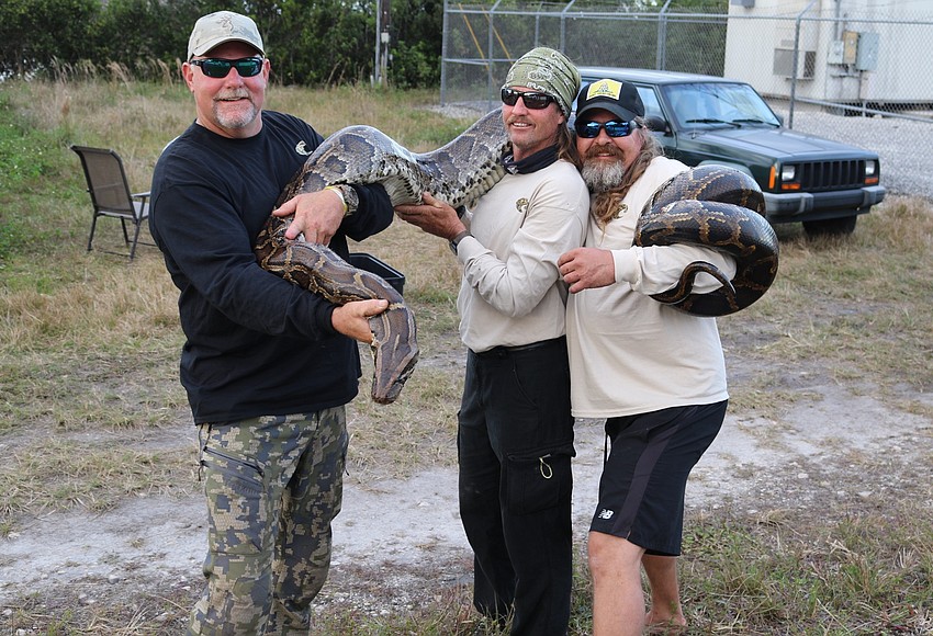 Large-scale hunt: East County professional python hunters bring home ...