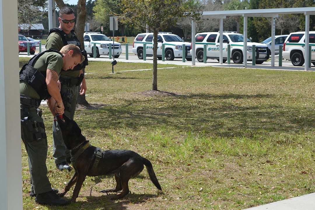 McNeal Elementary students meet four-legged heroes | Your Observer