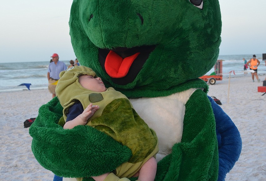 Your Observer | Photo - Shelley the turtle with her actual hatchling ...