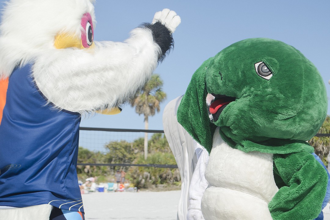 Race of the mascots | Your Observer