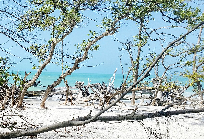 Longboat Key weather page photo: April 13 | Your Observer