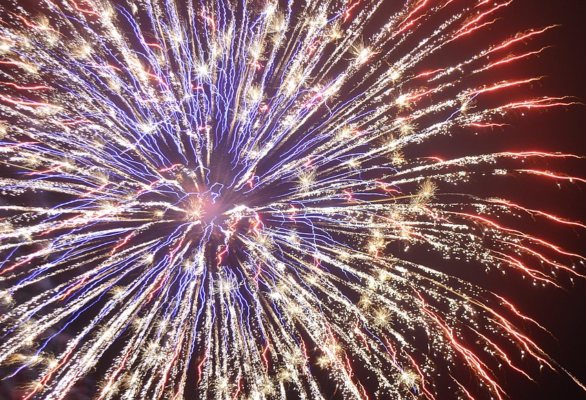 Party animals' fireworks can frighten the real ones | Your Observer