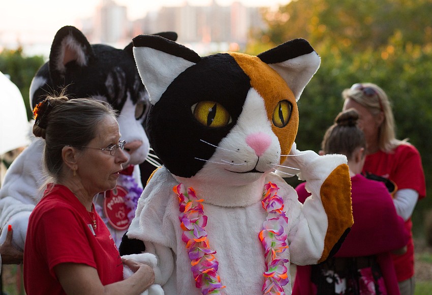 Your Observer | Photo - Calli, Cat Depot mascot, greets guests.