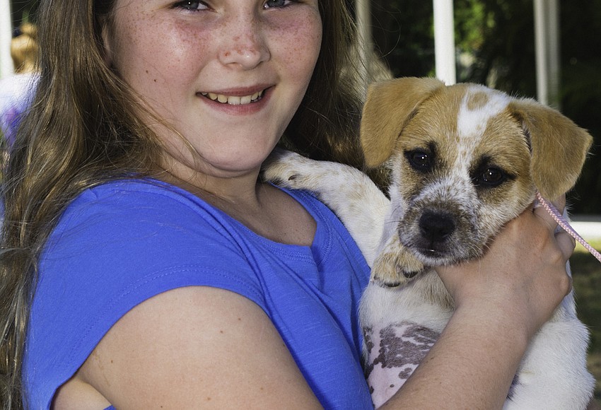 Your Observer | Photo - Julia Reedy holds Eleanor, a puppy looking for ...