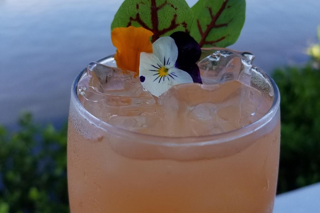 Drink This: Sarasota Sun-Kissed | Your Observer