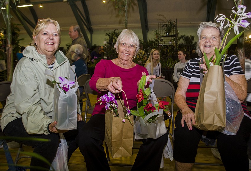 Your Observer | Photo - Donna Heffner, Lynne Heuston and Cally Rothman